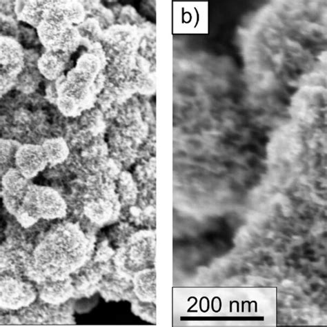 A Sem Micrographs Of The Pristine Iro2tio2 Catalyst Powder Employed