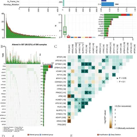 Mutation Analysis Of Mitophagyaging Miag Related Genes Rgs In