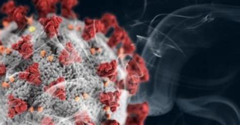 Fbi 코로나19 실험실서 유출…자연발생 아니다