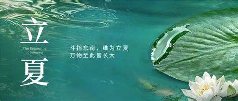 夏天要来了立夏时节的美食你知道多少呢 蚕豆 习俗 苋菜