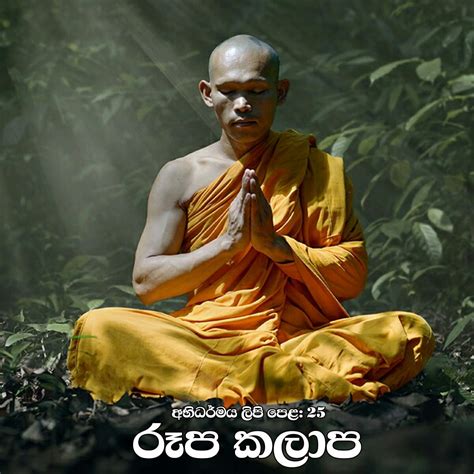 දහම් රස විඳින්නට කැමති අය සඳහා අභිධර්මය ලිපි පෙළ 25 🏵️ රූප කලාප 🏵️