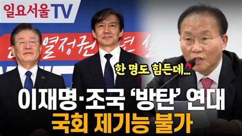 이재명·조국 방탄 연대 국회 제기능 불가 Youtube