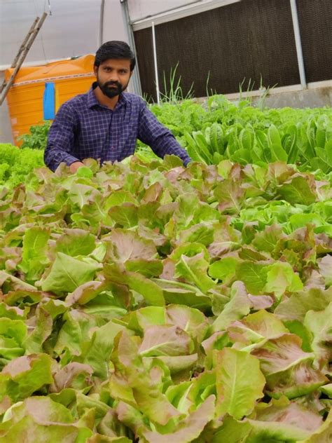 Farmplex Oasisgrowersolutions Hydroponics Abhijit Joshi