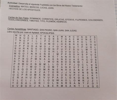 Desarrolla El Siguiente Pupibiblia Con Los Libros Del Nuevo Testamento