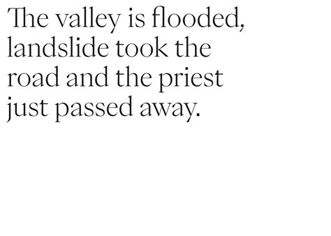 Owl Fox Hedgehog Deer Phmuseum