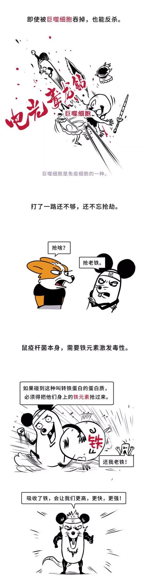 微漫画丨鼠疫科普小知识澎湃号·政务澎湃新闻 The Paper