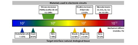 Elastic Modulus Of Biological Tissues And Common Materials In