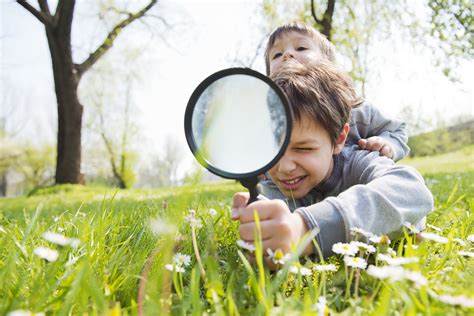 Find A School Micro Schools Network