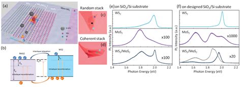 Interlayer Excitons In The Ws2mos2 Van Der Waals Heterostructure A