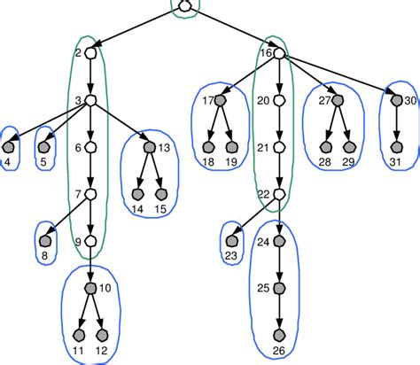 Partition Of The Dfs Tree There Are 10 Nontrivial Microtrees And 3