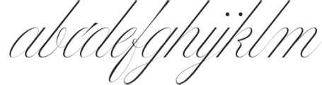 Bustra Script Pro Light Otf Font Script Elegant What Font Is