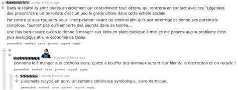 Et Pourquoi Pas Le Port Dun Croissant Vert Cousu Sur Les Vêtements Si