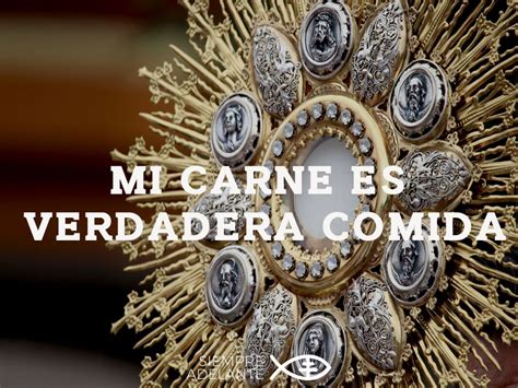 XX DOMINGO DEL TIEMPO ORDINARIO B Archisevilla Siempre Adelante