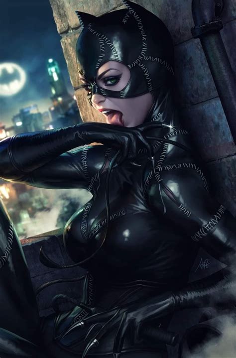 Catwoman And Selina Kyle Dc Comics And 2 More Drawn By Stanleylau