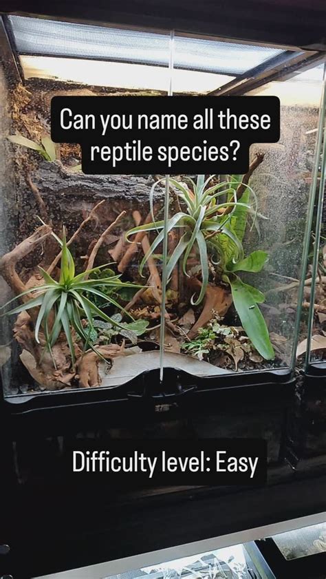 Dakotah Blue Exotics Dakotahblueexotics • Instagram Photos And Videos