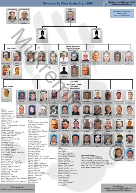 Up To Date Cosa Nostra Lcn Charts Bonanno Colombo Gambino Genovese