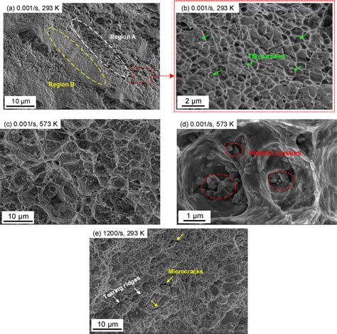 E Tensile Fracture Morphologies Of In Situ Tib 2 2024 Al Composite