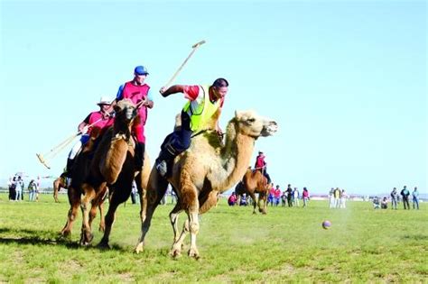 吉祥草原那達慕開幕 每日頭條
