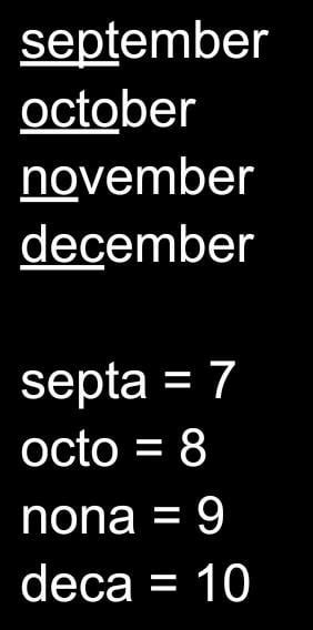 Realized Mid Class Ranything