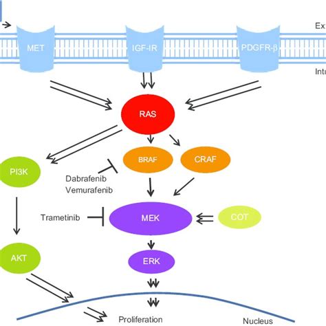 Comparison Of Endpoints Among Dabrafenib Clinical Trials Download Table