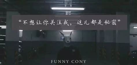 你的微信头像暴露了你的性格和心理