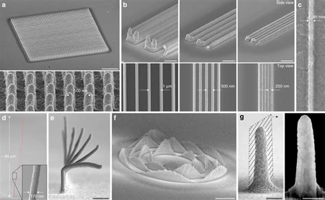 Geometrical Performance And As Printed Microstructure A Array Of 50 ×