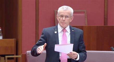 Great Barrier Reef Is Not Dead Or Dying Great Barrier Reef Is Not