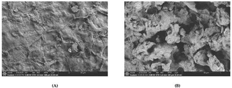 Molecules Free Full Text Effects Of Enzymatic Pretreatment Of Seeds