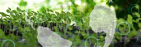 Making Software Development Greener Computer Weekly