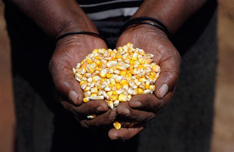 1231 Global Food Losses Sdg Indicators Data Portal Food And