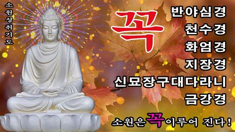 소원 성취를 돕는 강력한 기도 건강 성공 부와 행운을 위한 불교 음악 행복과 평화를 가져오는 명상 음악 🙏🎵 Youtube