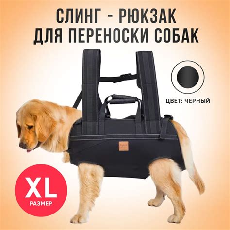Ходунки для собак купить на OZON по низкой цене (1742996829)