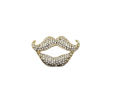 Rhinestone Lips Pin Finox