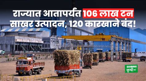 Sugar Production राज्यात आतापर्यंत 106 लाख टन साखर उत्पादन 120