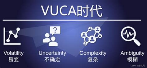 需求分析引言架构漫谈一