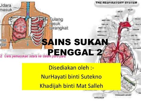 6 7 Sistem Respiratori