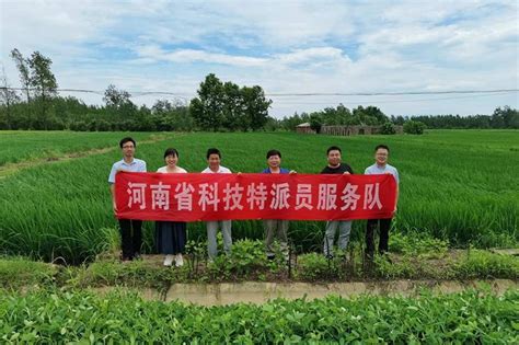 我校省科技特派员赴潢川县和光山县开展优质水稻生产技术服务 信阳农林学院
