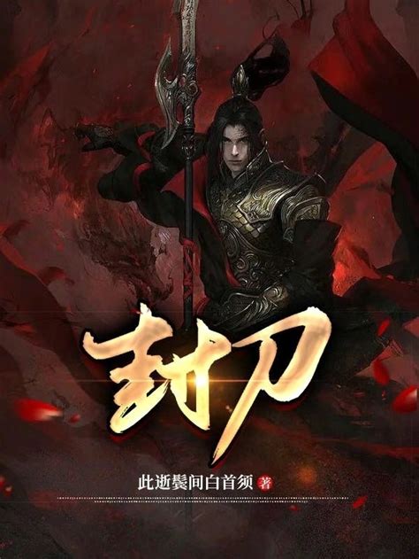 盲夫 女尊 只为一人封刀免费阅读 番茄小说