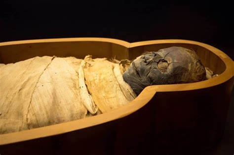 Las Momias Egipcias Revelan El Clima De La Era Romana Noticias De Israel