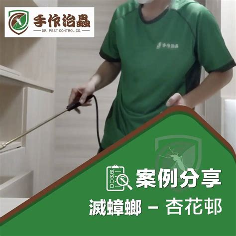 案例分享 滅蟑螂 —杏花邨 手作治蟲 Dr Pest Control Co
