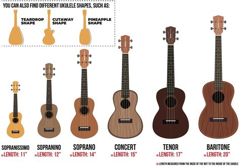 Different Ukulele Sizes