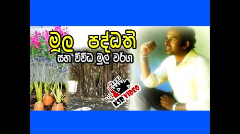 මූල පද්ධති සහ විවිධ මුල් වර්ග Youtube