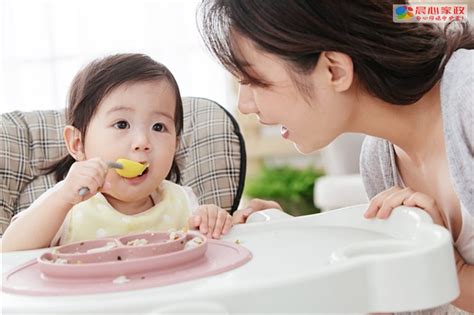 婴儿胎毛究竟要不要剃新生儿胎毛要不要剃 新生儿要剃胎 育儿嫂网