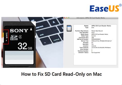 How To Fix Sd Card Read Only Mac 5 Solutions🔥