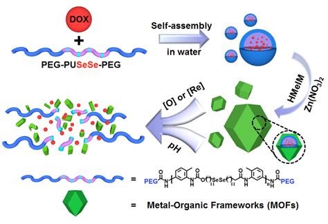 Selenium Containing Polymer Metal Organic Frameworks Nanocomposites As