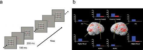 Figure 1 From Frontoparietal Activity With Minimal Decision And Control Semantic Scholar