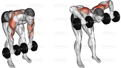 Dumbbell Lying Rear Delt Row Exercise Guide Video Techniques
