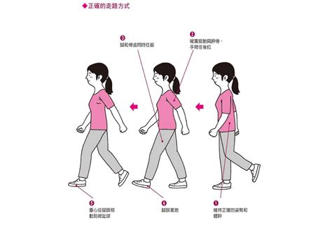甩痠痛、抗老化、瘦小腹每天花5分鐘這樣走路 華人健康網