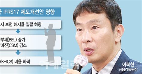 금감원 보험사 새 회계기준 원칙 어길 땐 대주주에게 직접 연락