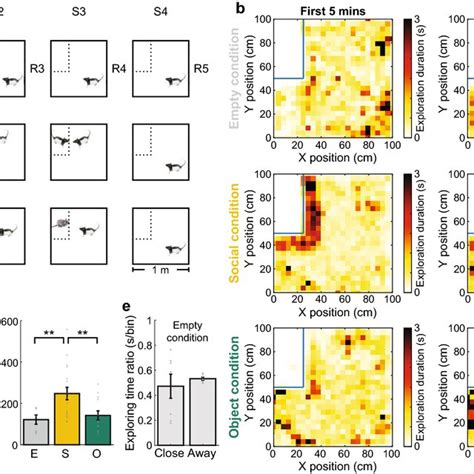 Chenguang Zheng Postdoctral Researcher Phd University Of Texas At Austin Tx Ut Center